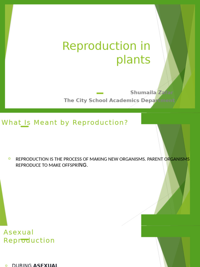 Reproduction in Plants Grade 6 | PDF | Pollination | Flowers