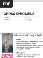 Spaulding Classification of Instruments | PDF | Hospital Acquired ...