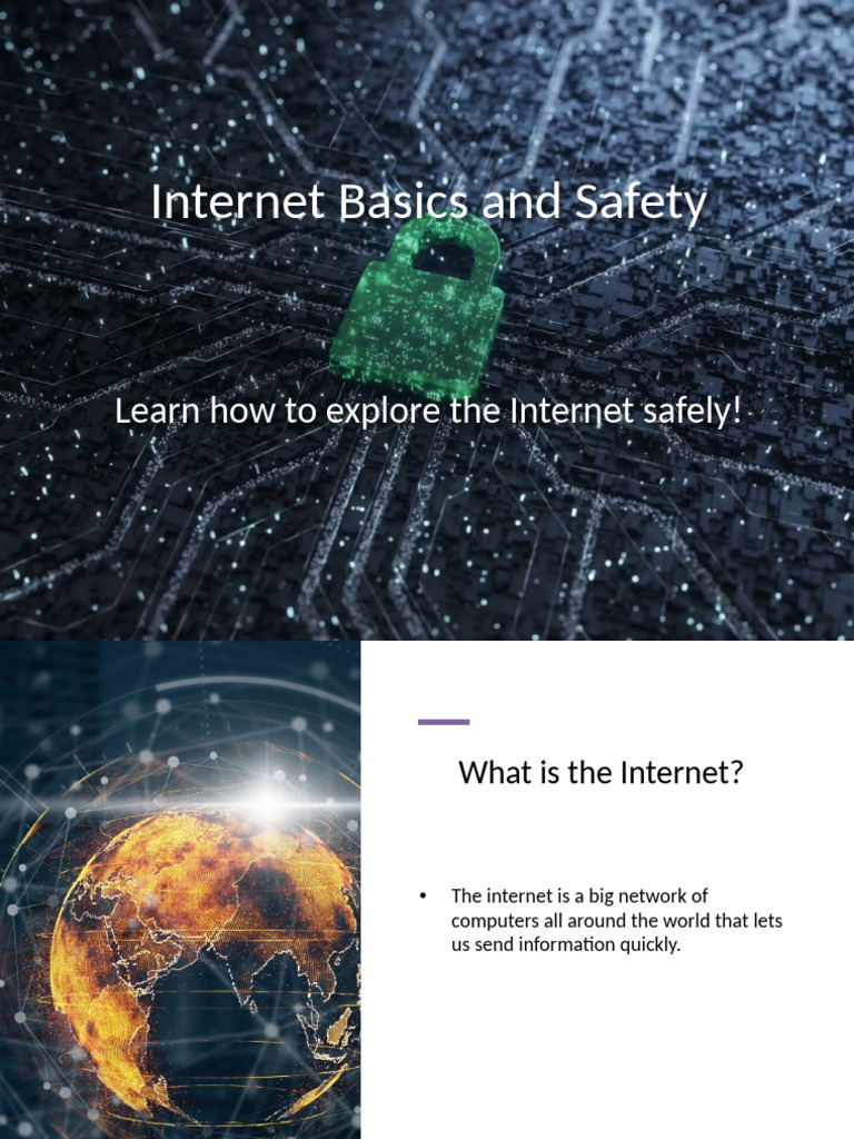 Internet Basics and Safety | PDF