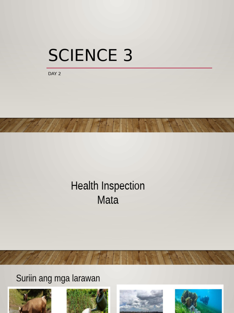 Q4 Science 3 Week 2 Day 2 | PDF