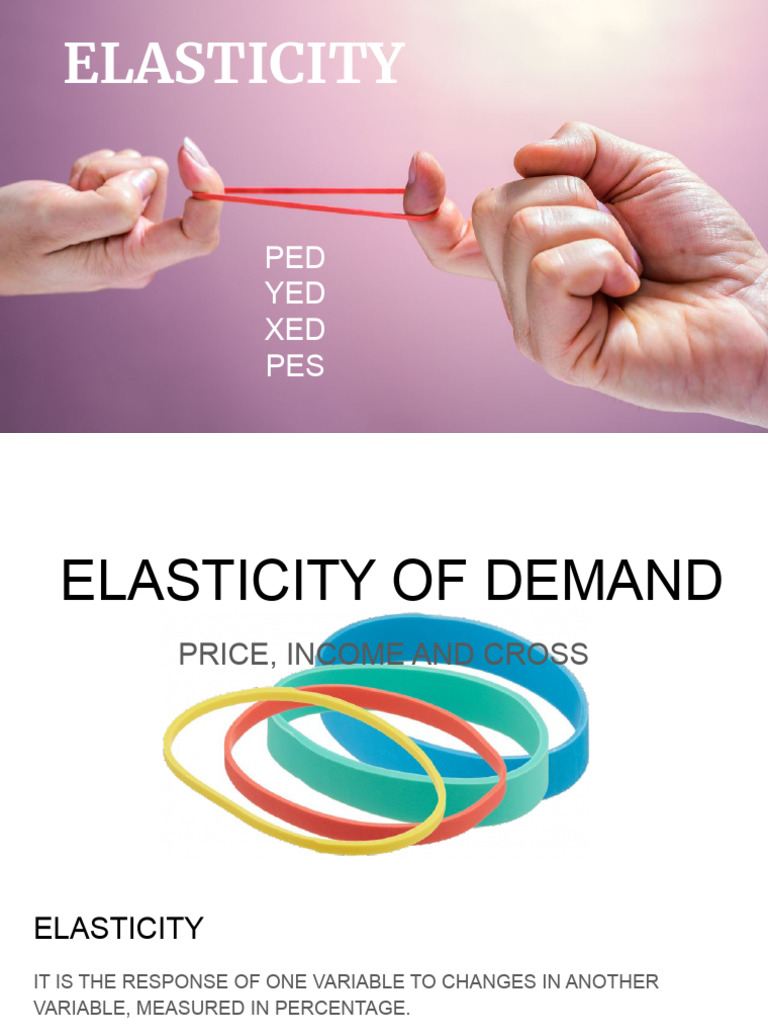 ELASTICITY | PDF