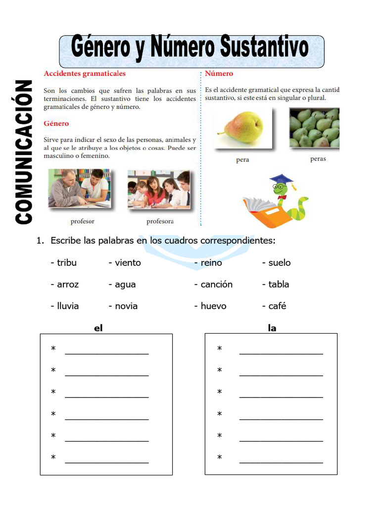 Ejercicios de Género y Número del Sustantivo | PDF