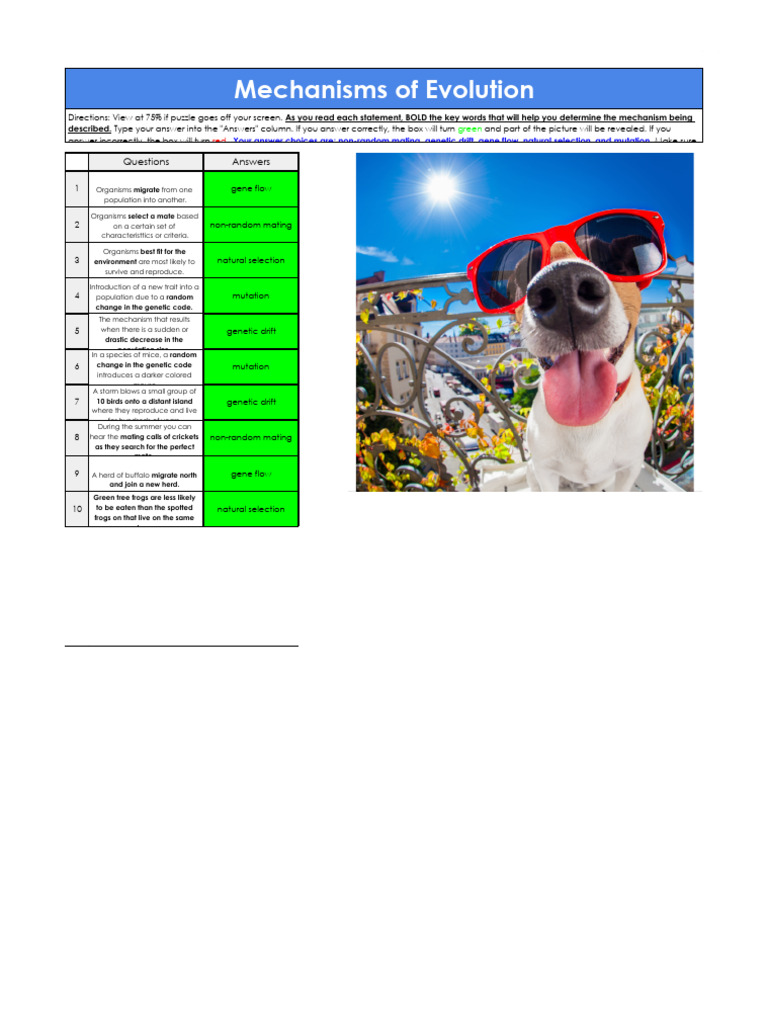 8 - Mechanisms of Evolution Mystery Picture (BLANK) - Sheet1 | PDF