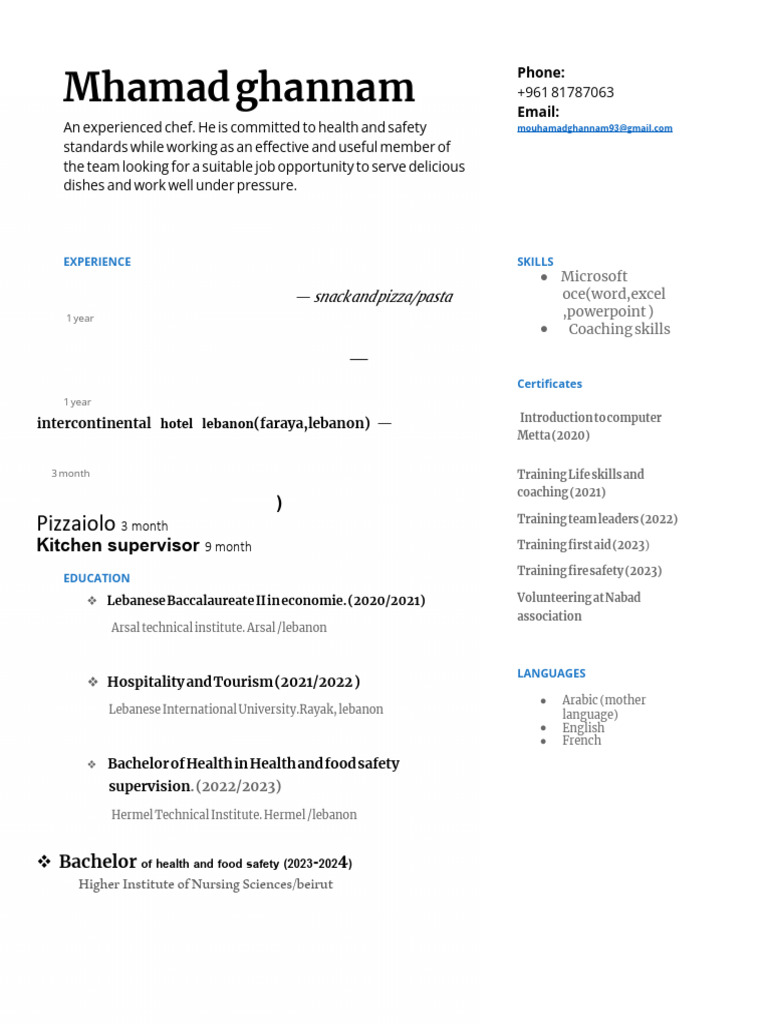 Mouhamad Cv | PDF | Lebanon