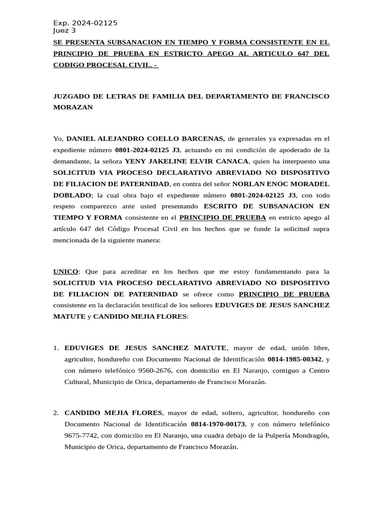 Subsanar Demanda de Filiacion de Paternidad Daniel Coello | PDF ...