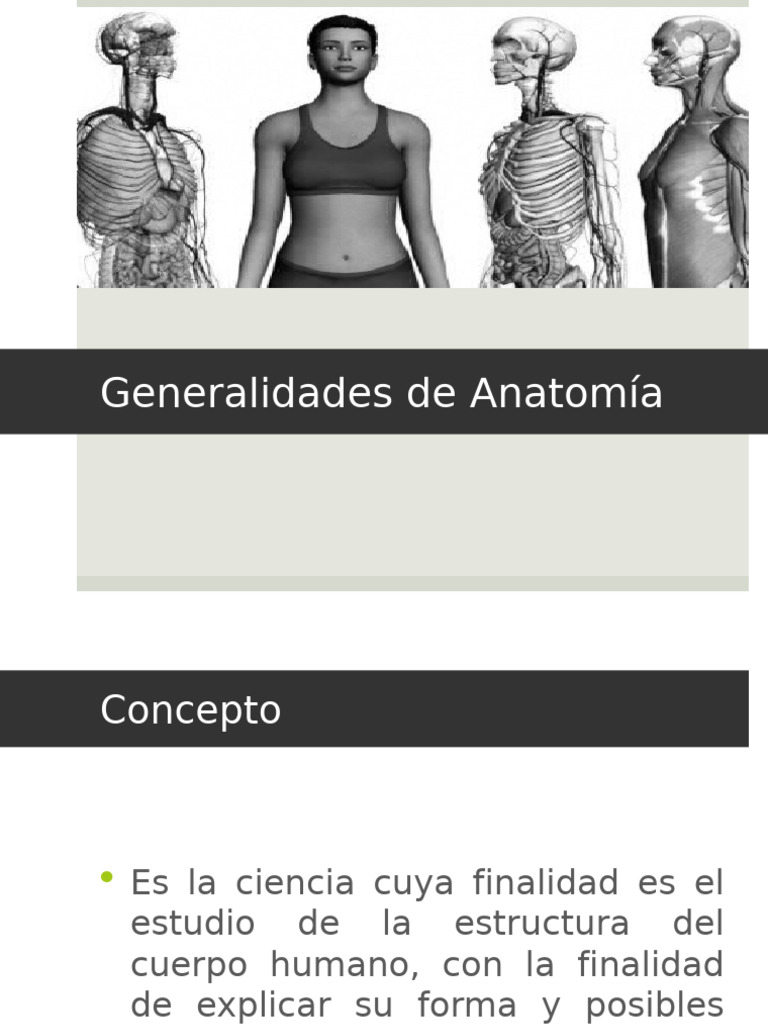 Generalidades Anatomia | PDF | Biología Celular) | Anatomía