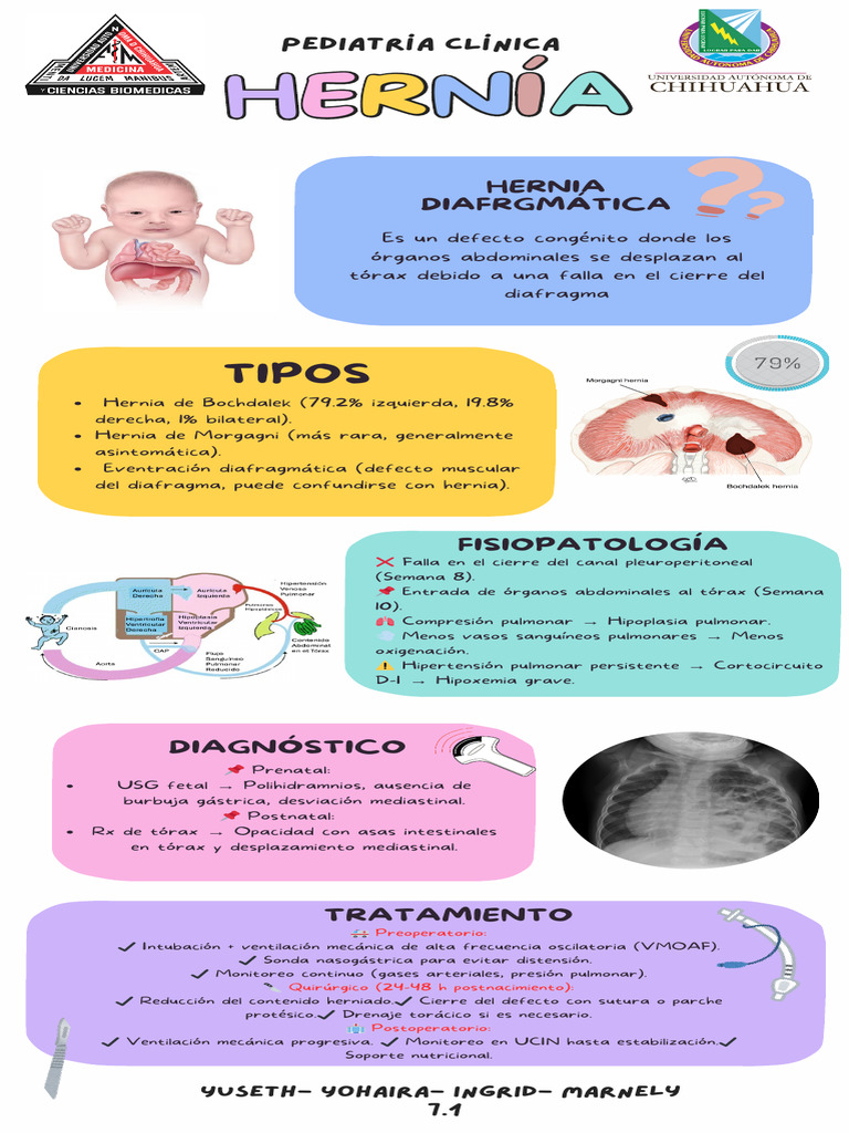 Hernias Diafragmáticas | PDF