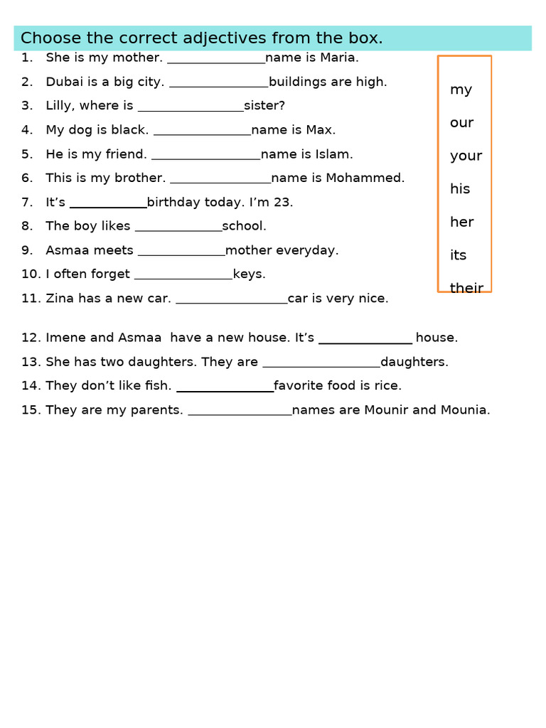 Possessive Adjectives Worksheet 1 | PDF
