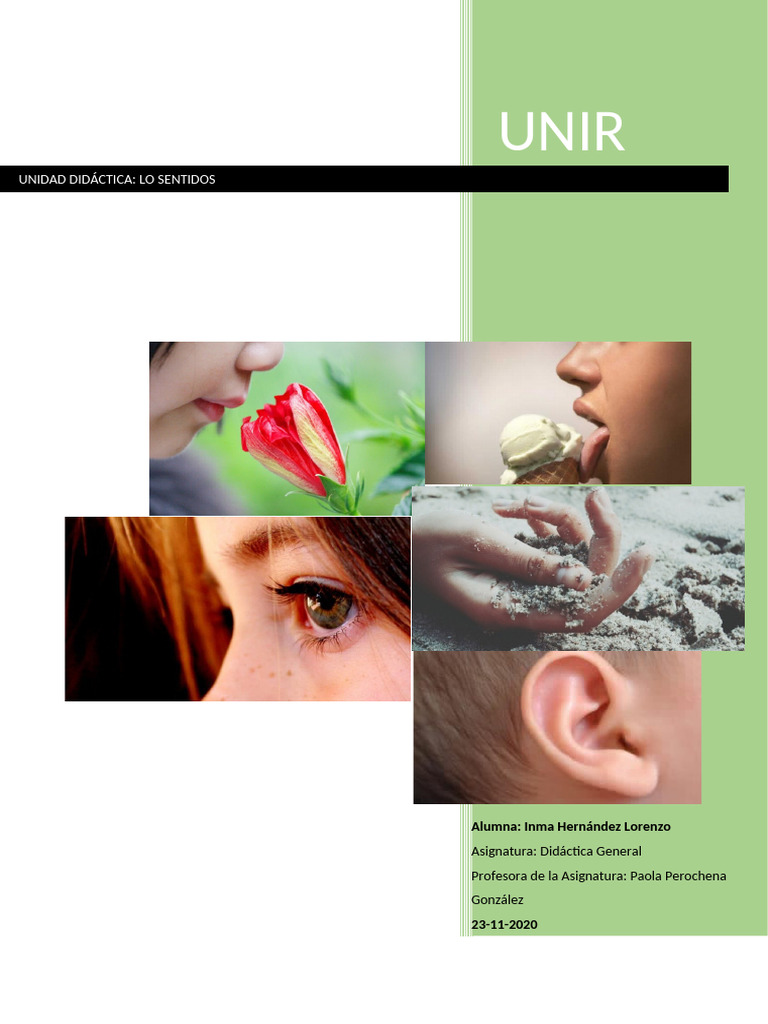 Unidad Didáctica: Los Sentidos | PDF | Educación de la primera infancia ...
