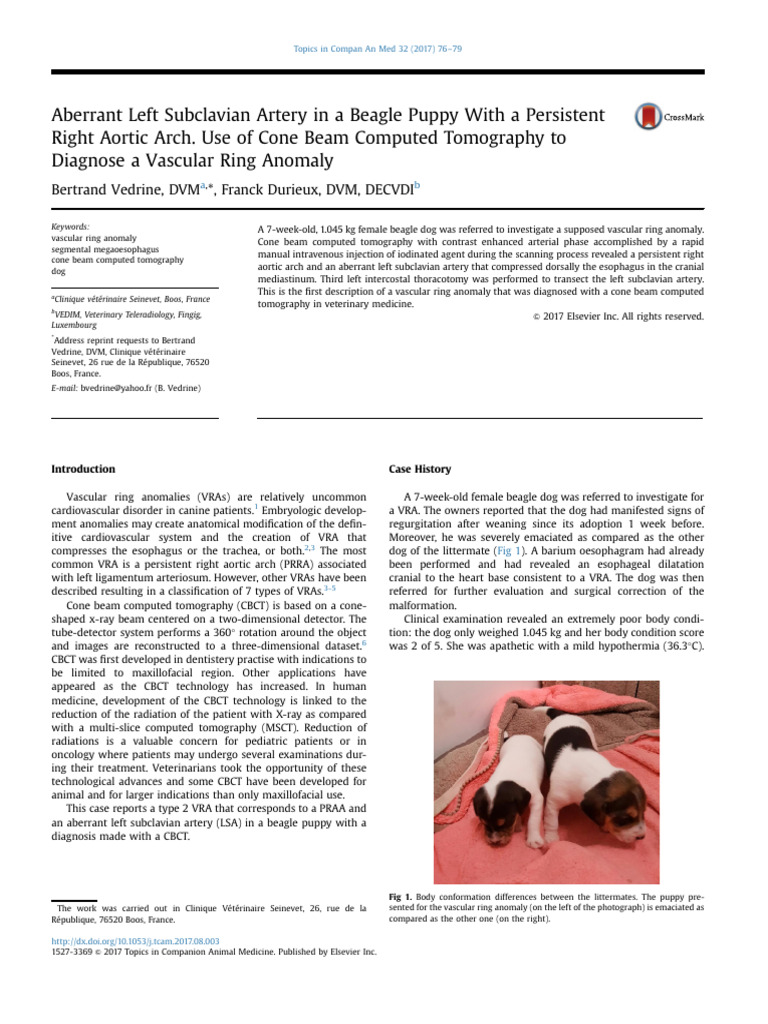 Aberrant Left Subclavian Artery in A Beagle Puppy With A Persistent ...