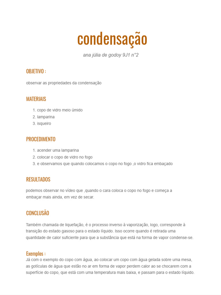 Relatório - Documentos Google | PDF