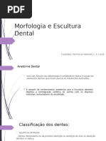 Características da Linha Equatorial Dental | PDF | Dente humano | Anatomia