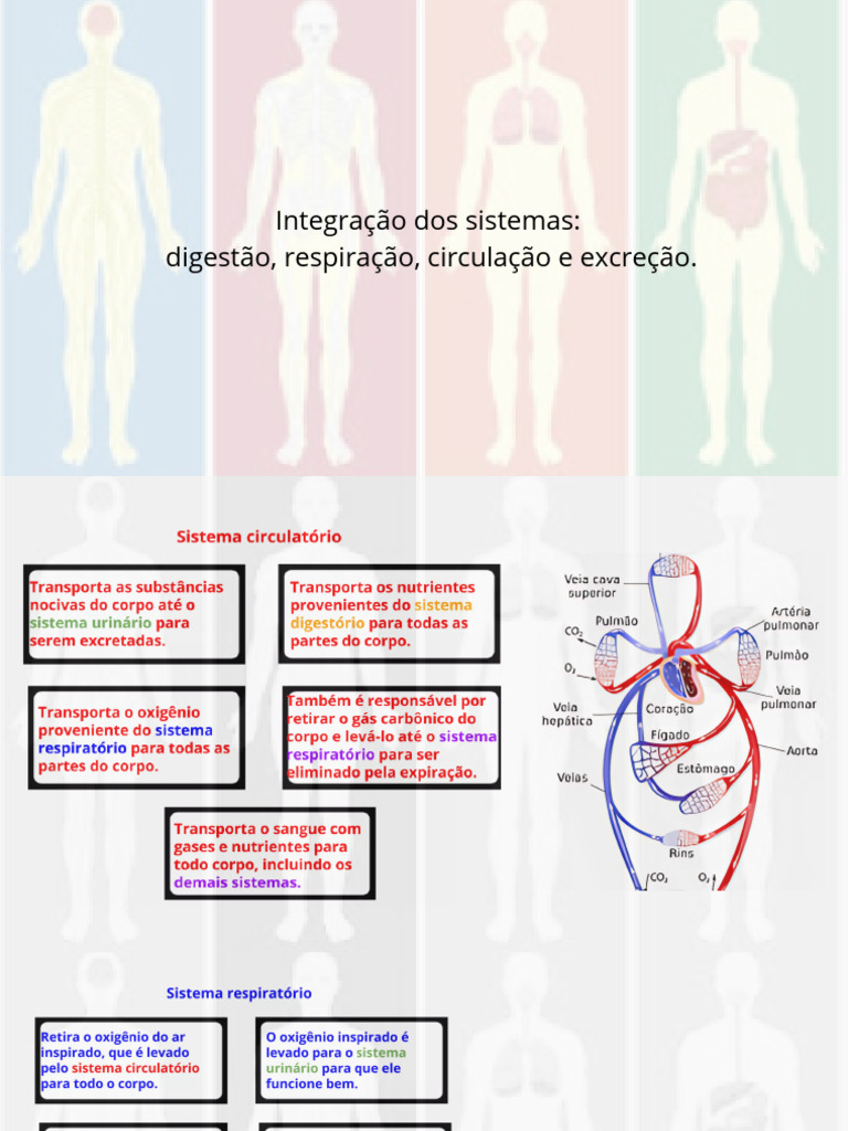 MAPAS MENTAL CIENCIAS | PDF