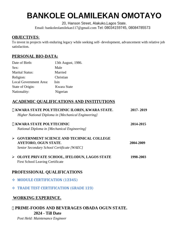 olamilekan cv_020022 (1) | PDF