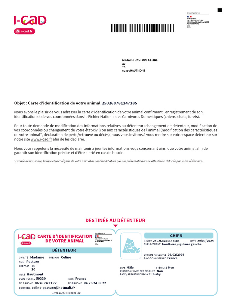 Carte d'identification animal ICAD | PDF | Chiens | Animaux domestiqués
