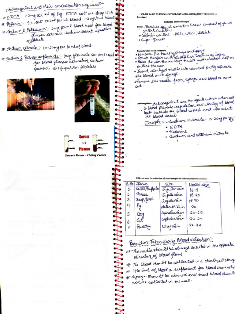 Pathology (CS-215) Written Manual (P78C) | PDF