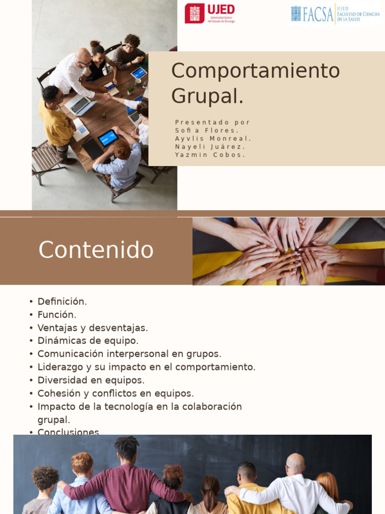 Comportamiento Grupal. | PDF | Liderazgo | Cohesión grupal