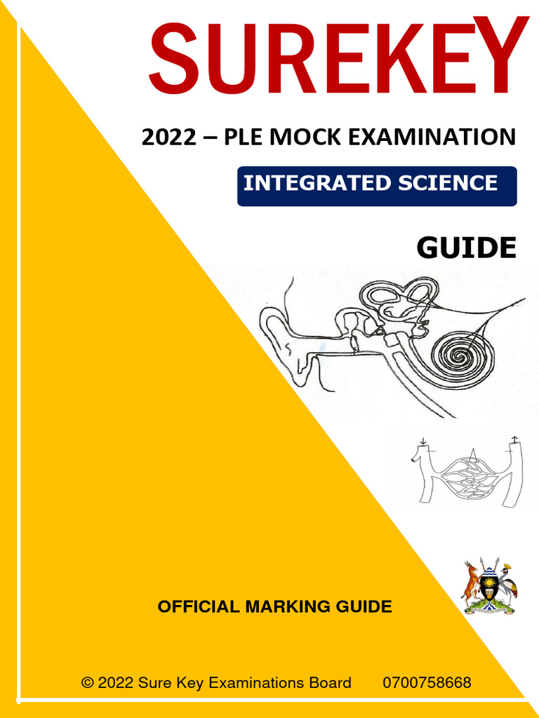 2022 Ple Mock Examination | PDF | Blood Vessel | Beehive