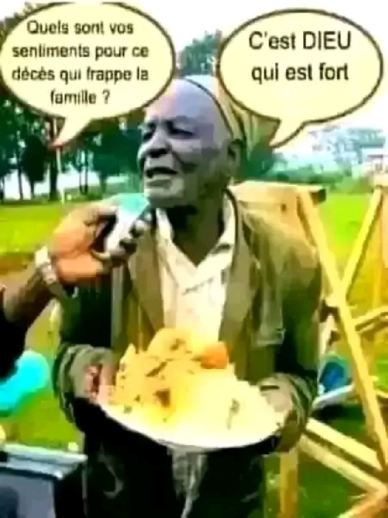 PDF Phoenix 20250220 200018 | PDF