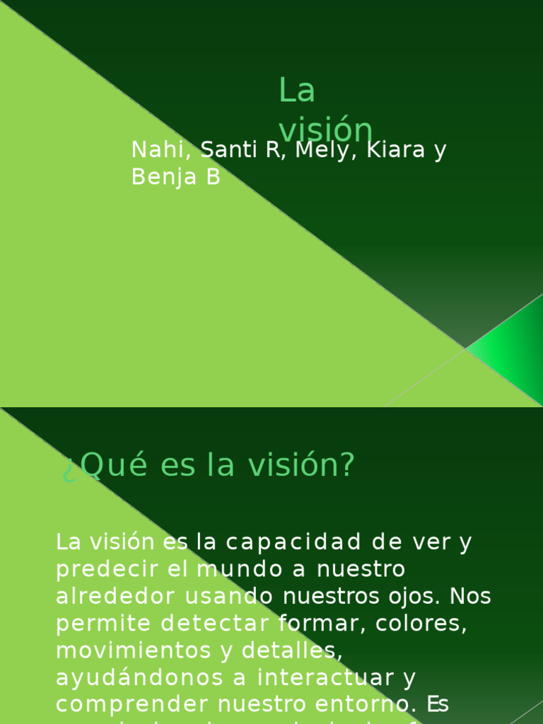 La Visión | PDF | Percepción visual | Ojo