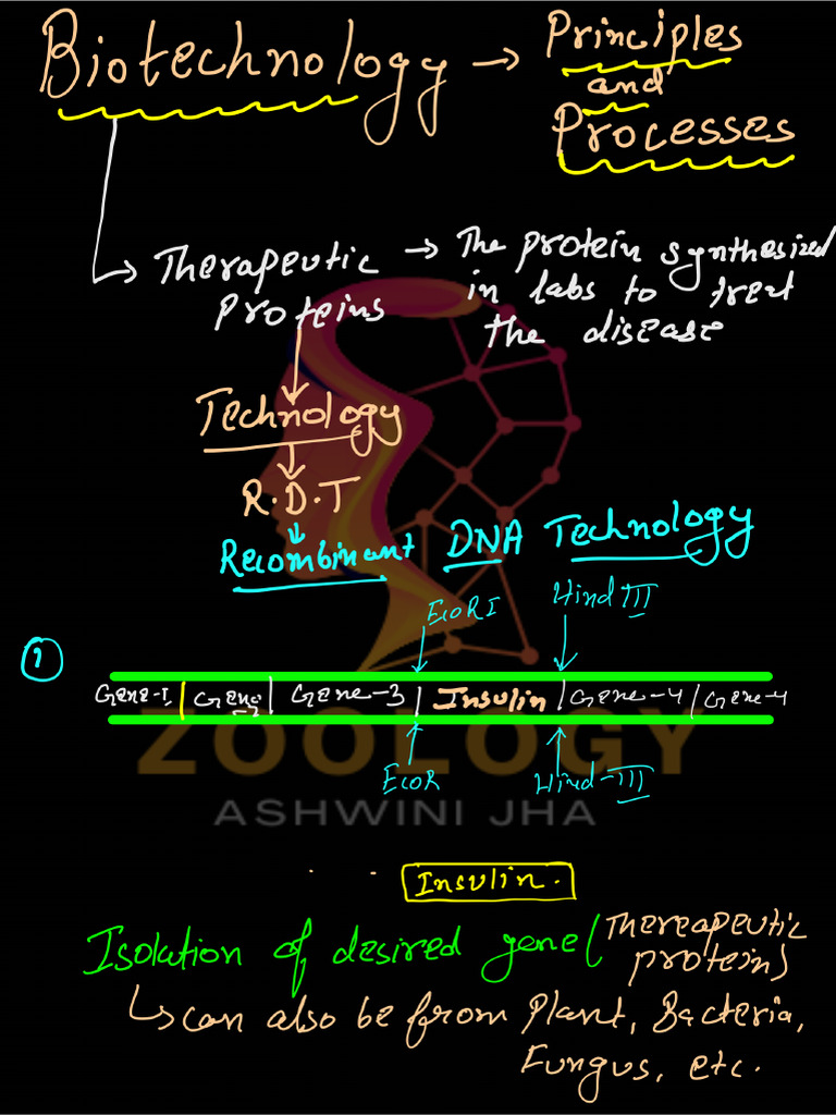 Biotechnology 1 Final | PDF