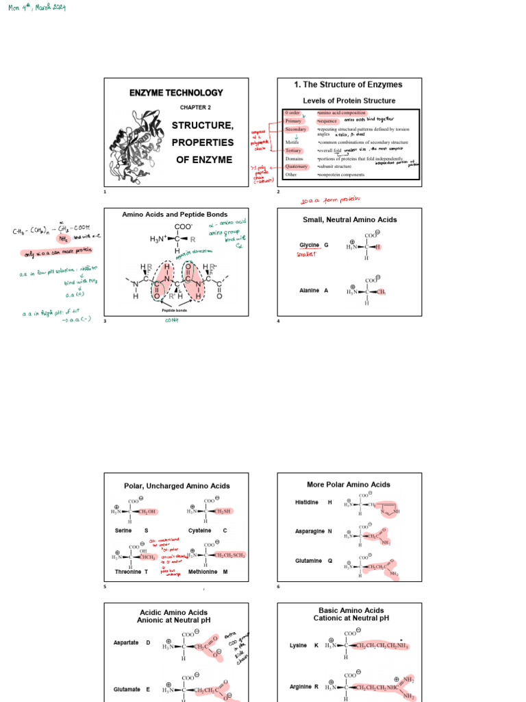 02 Structure, Properties of Enzyme | PDF | Cofactor (Biochemistry ...