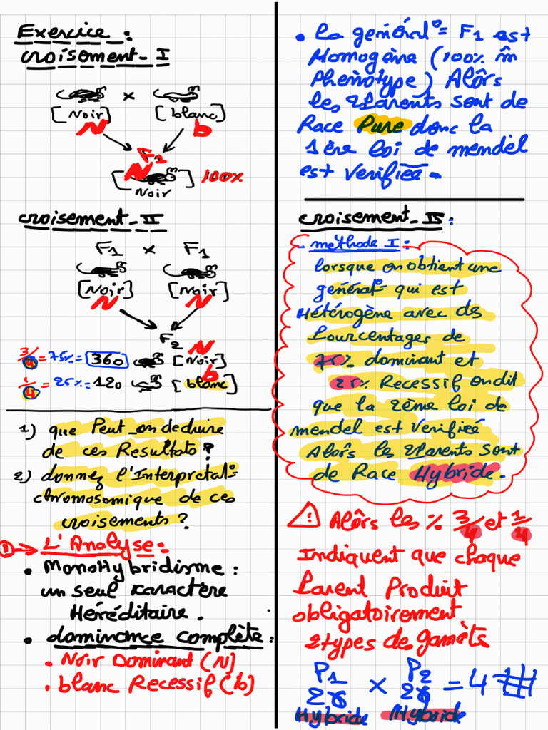 Les lois de Mendel 2 | PDF