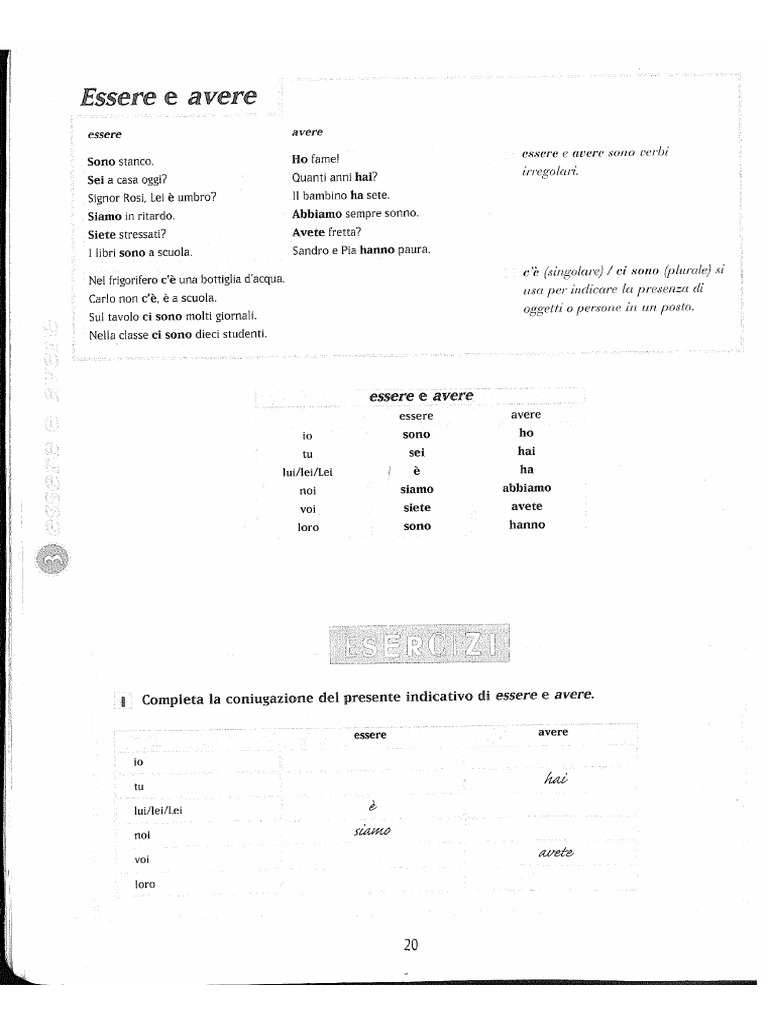 esercizi essere-avere | PDF