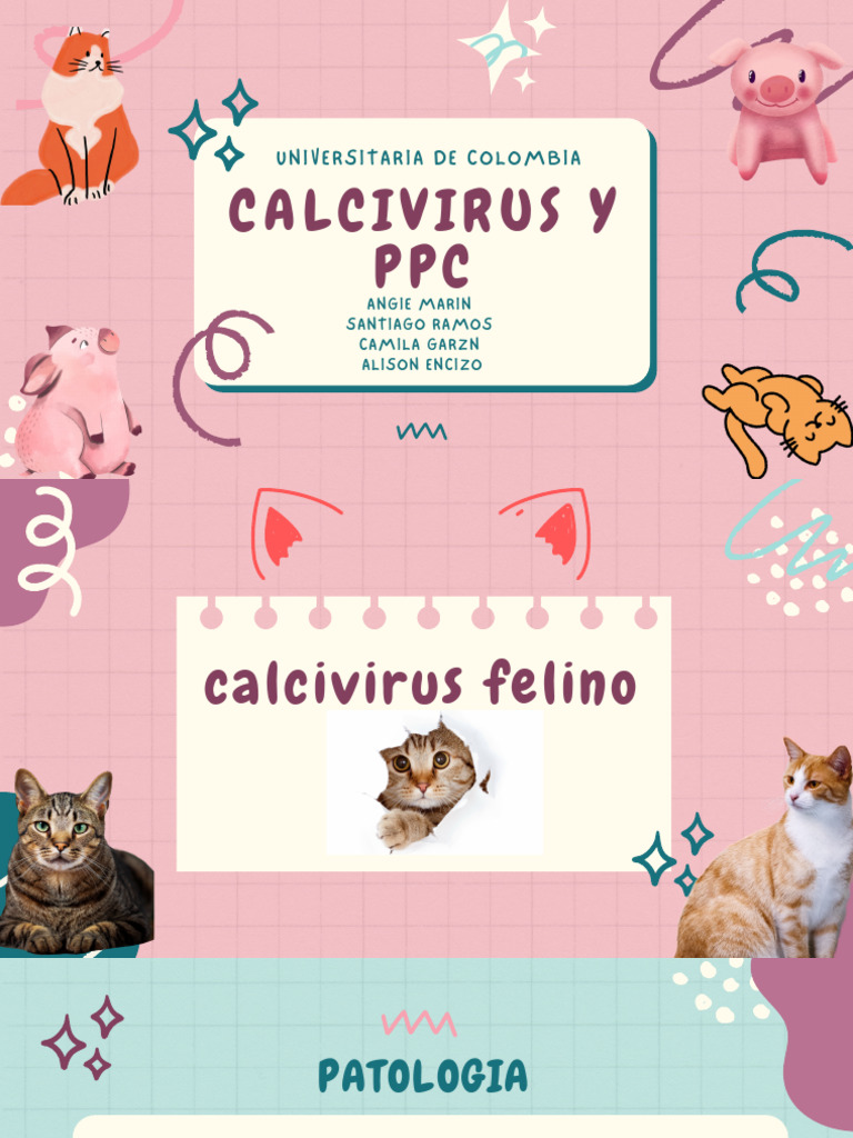 calcivirus y ppc | PDF | Virus | Infección
