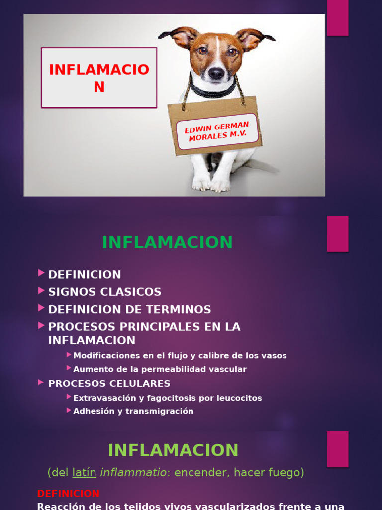 Proceso y Signos de la Inflamación | PDF | Inflamación | Edema