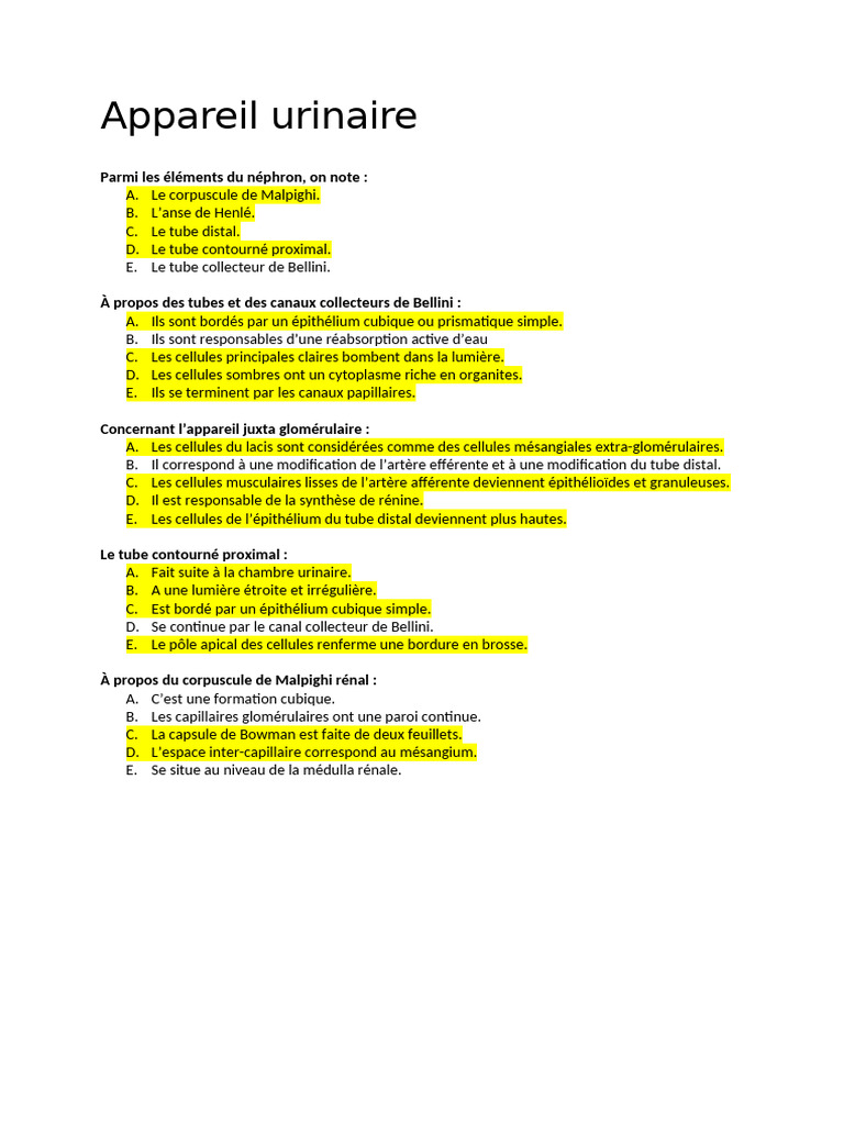 Anatomie du néphron et corpuscule de Malpighi | PDF