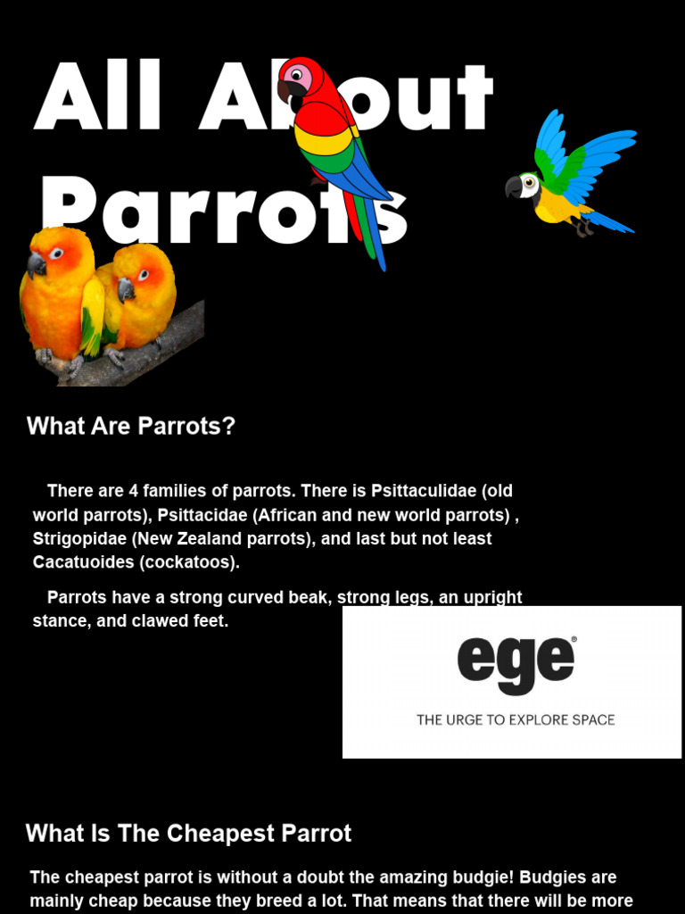 Parrot | PDF