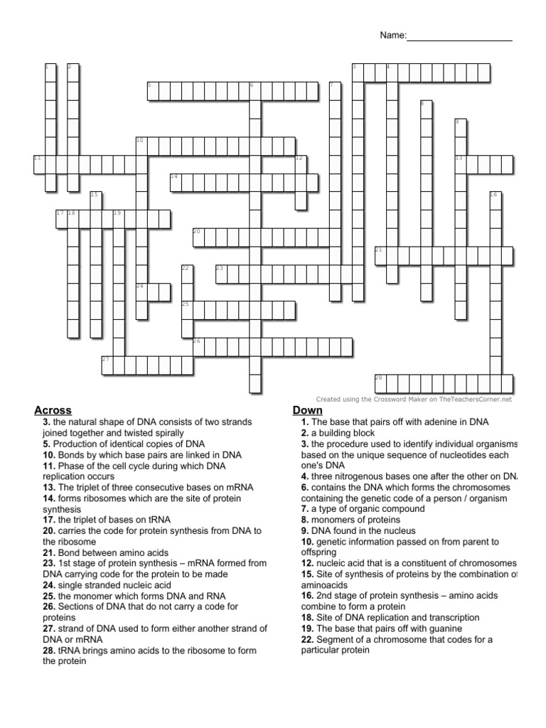 DNA - Crossword Puzzle | PDF | Dna | Nucleic Acids