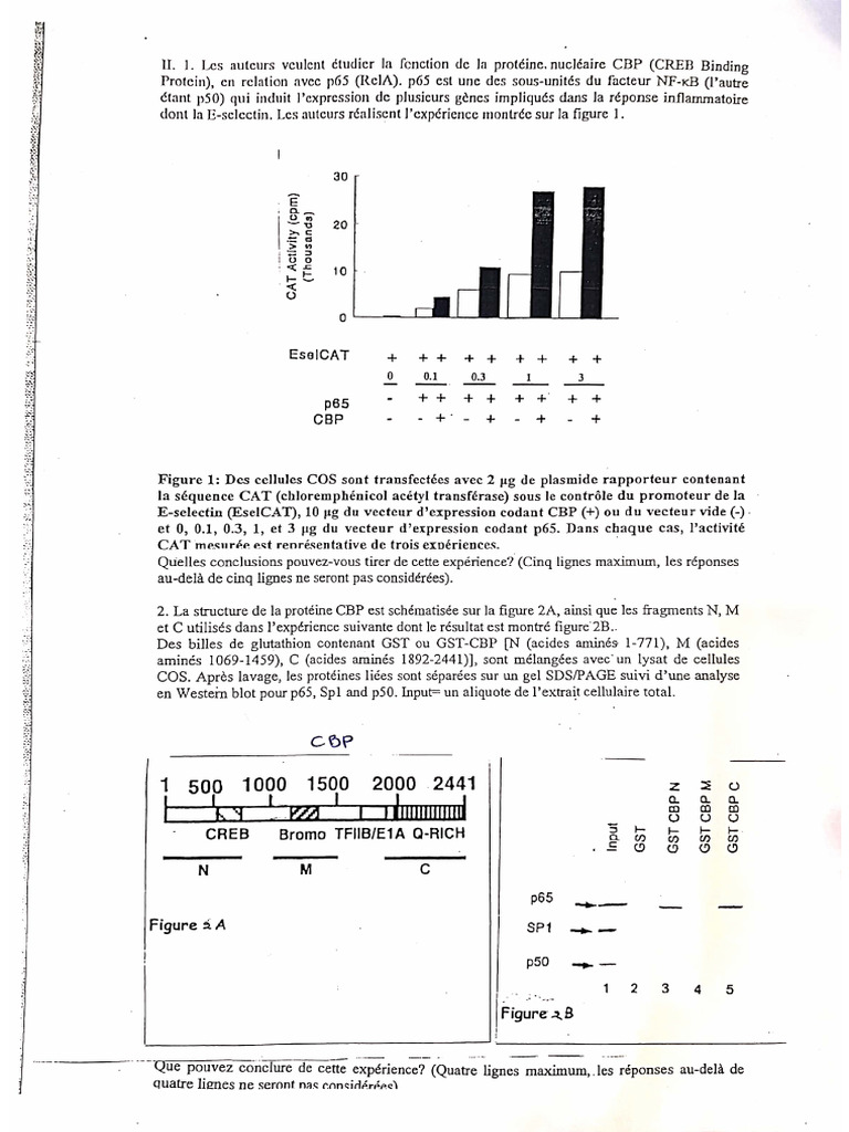 Molecular biology 12 | PDF