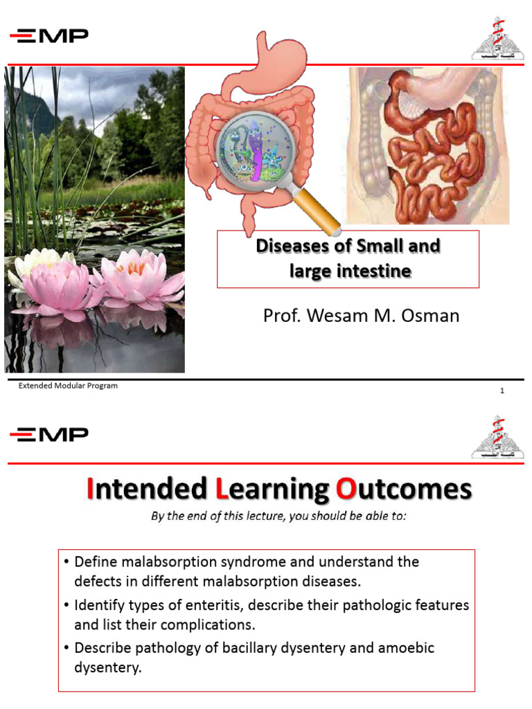 Malabsorption Syndromes and Enteritis Overview | PDF | Crohn's Disease ...