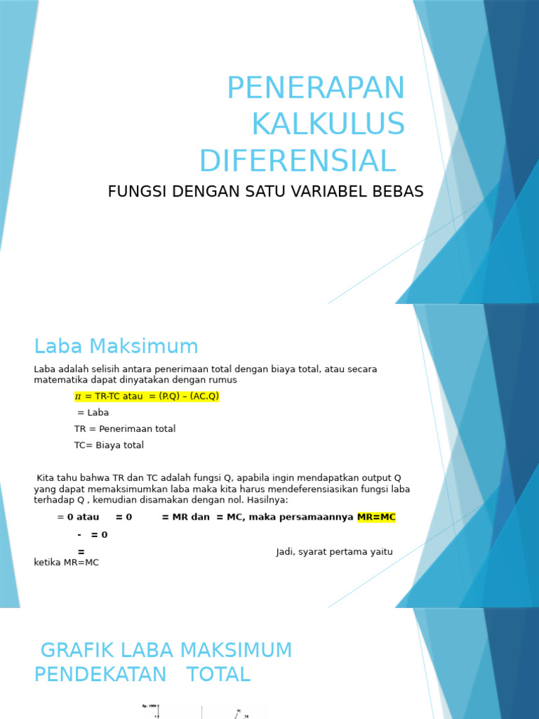 Penerapan Fungsi Diferensial | PDF