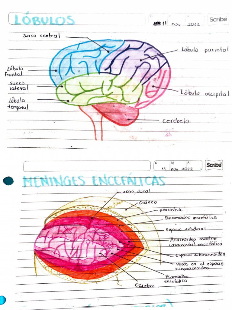 Esquemas DanielaMondragón 506 | PDF