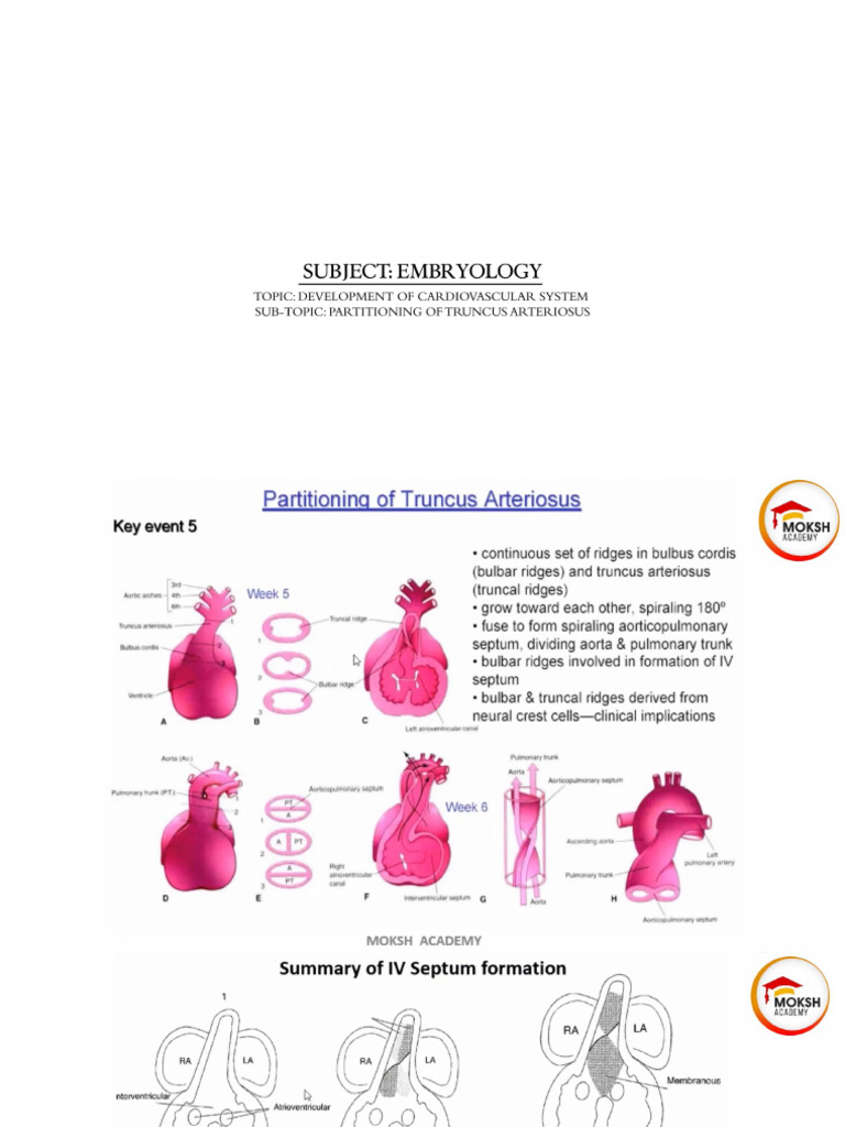 02_partitioning_of_truncus_arteriosus | PDF