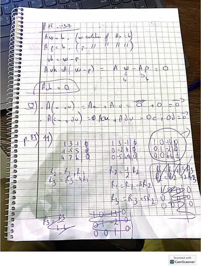 MAT310 HadyTarabay 22519 Assignment#3 | PDF
