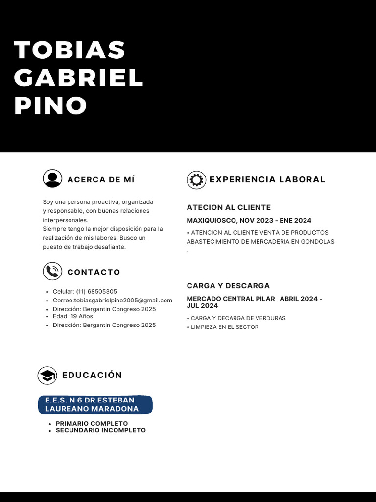 Currículum Profesional Serio Sencillo Negro TOBI | PDF