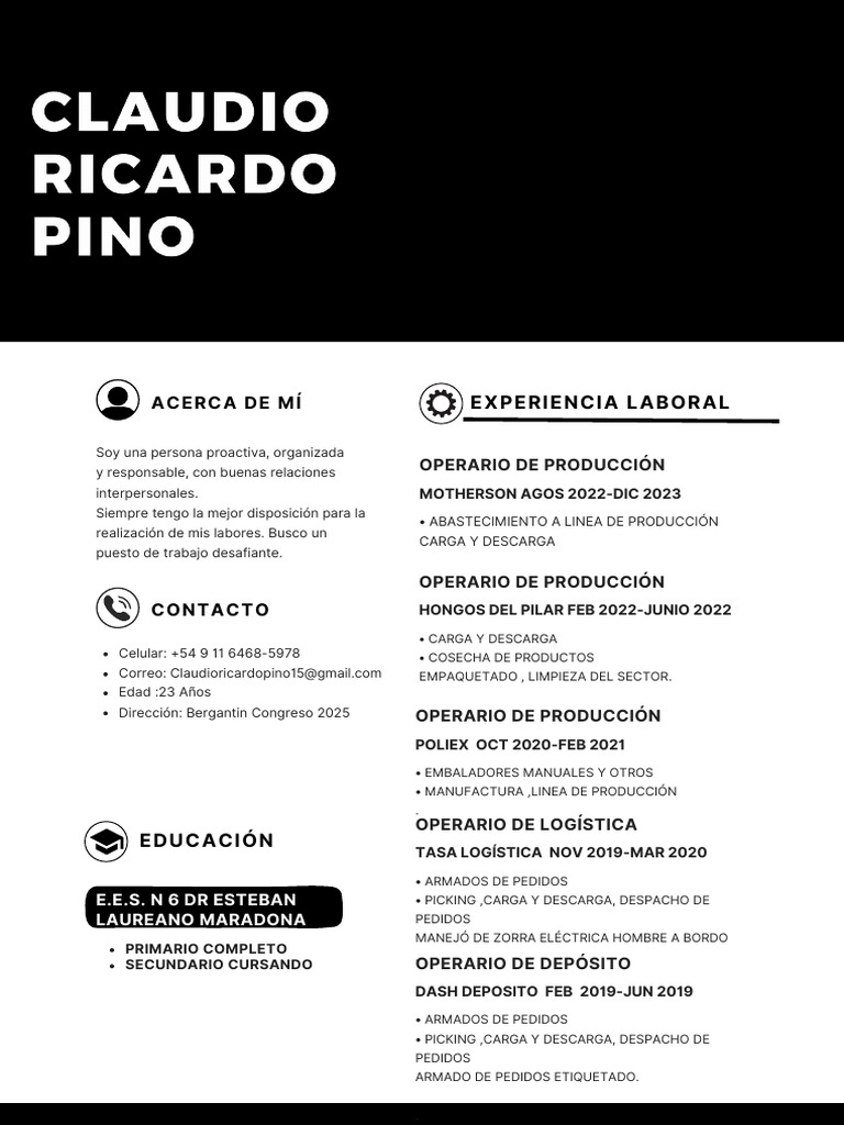 Currículum Profesional Serio Sencillo Negro - 20240904 - 191101 - 0000 ...