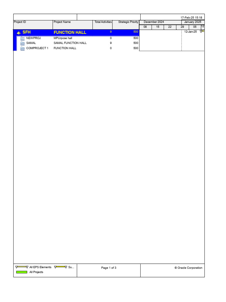 Samal Function Hall Project Overview | PDF