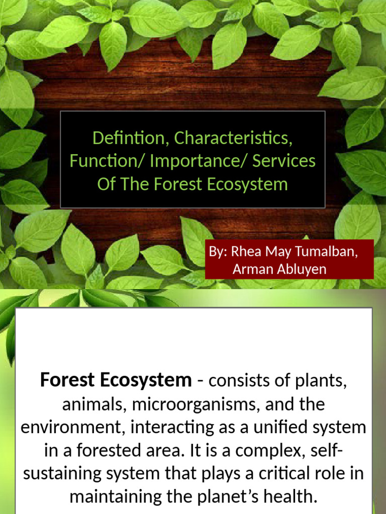 Final PPT Wps Office | PDF | Forests | Ecosystem