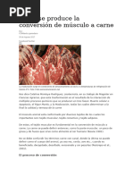 Proceso de Rigor Mortis y Maduracion | PDF | Respiración celular | Carne