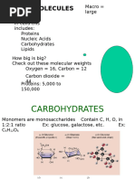 Macromolecule Comparison Table PDF | PDF | Macromolecules | Carbohydrates
