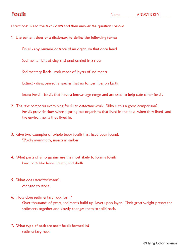 Evidence of Evolution Fossils Reading and Questions KEY | PDF | Fossil ...