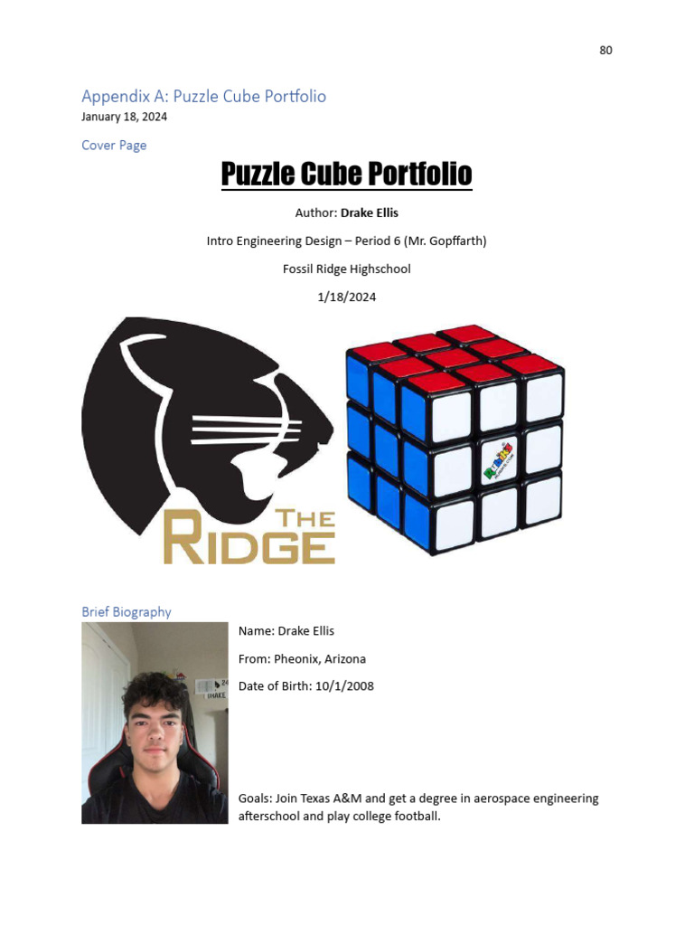 Puzzle Cube Design Portfolio | PDF