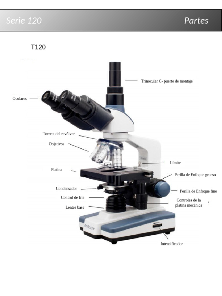 Partes del Microscopio Serie 120 | PDF