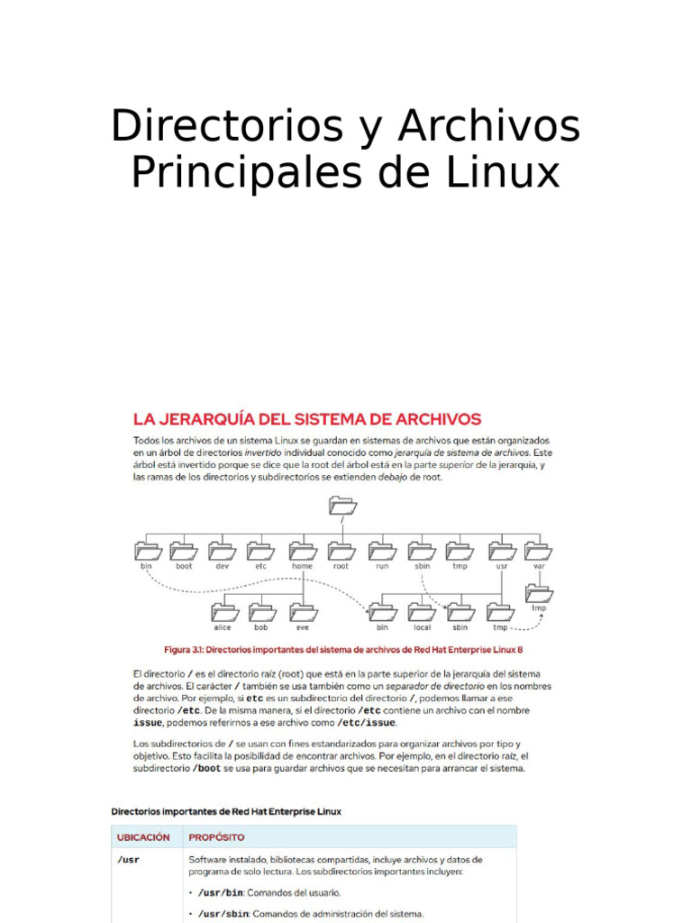 Directorios y Archivos Principales de Linux | PDF | Archivo de ...