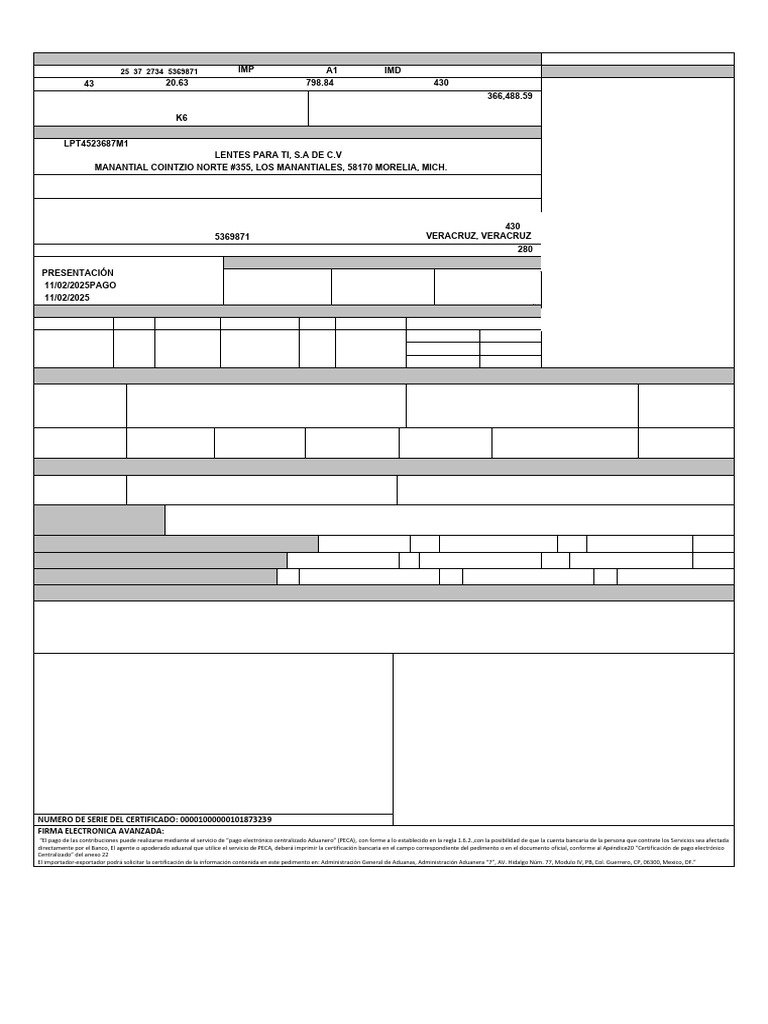 124690409-FORMATO-PEDIMENTO-EXPORTACION (1) | PDF | aduana | Business